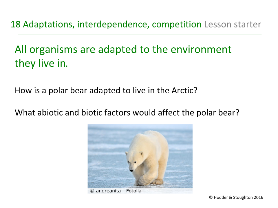 Lesson starter 1 for Chapter 18 Adaptations, interdependence and ...